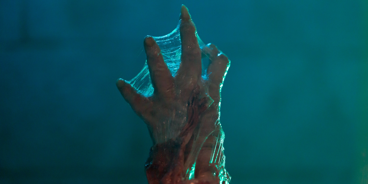 WHO WE ARE - Formation Effects